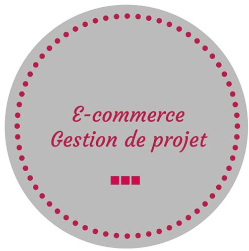 gee-c gestion projet e-commerce - gee-c